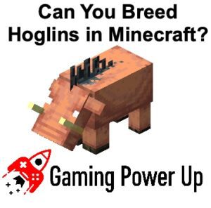 How to Breed Hoglins in Minecraft (Yes, You Can Do it!) 2024